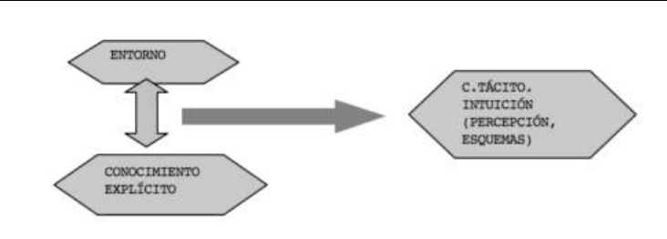 ESQUEMA: Entor no y conocimiento explícito