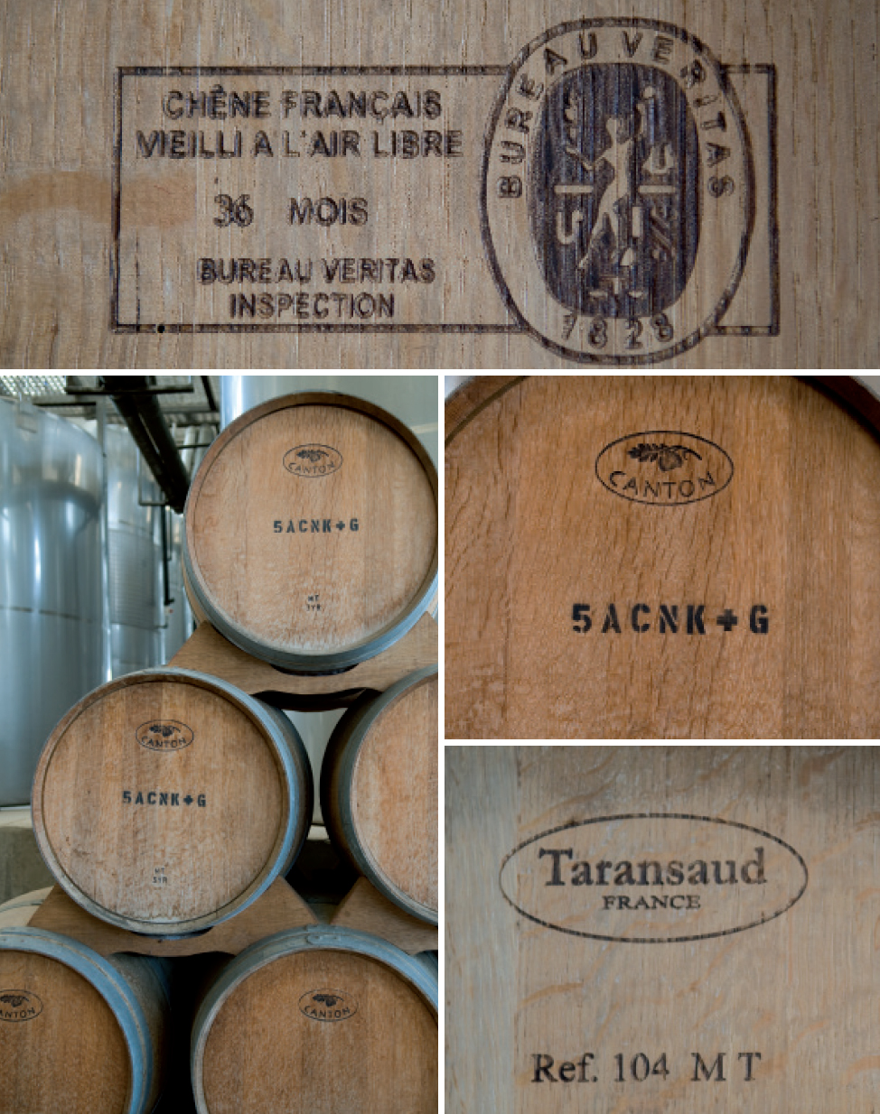 Perú la tierra del pisco