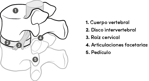 Cuida_tus_cervicales-7