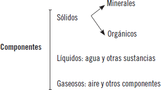 El suelo de cultivo y las condiciones climáticas