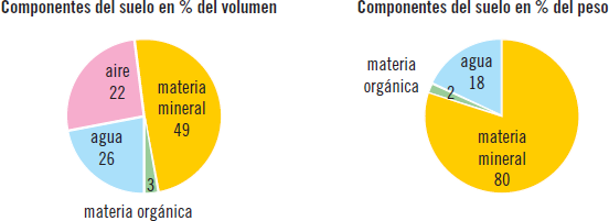 El suelo de cultivo y las condiciones climáticas
