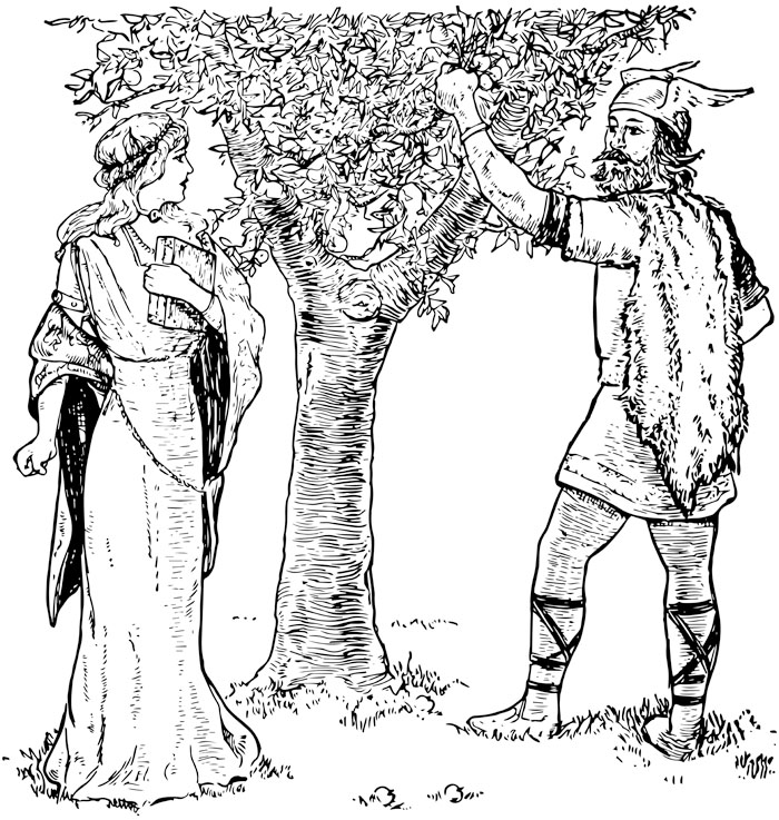 T-9788418015861_CAPITULO.indd1